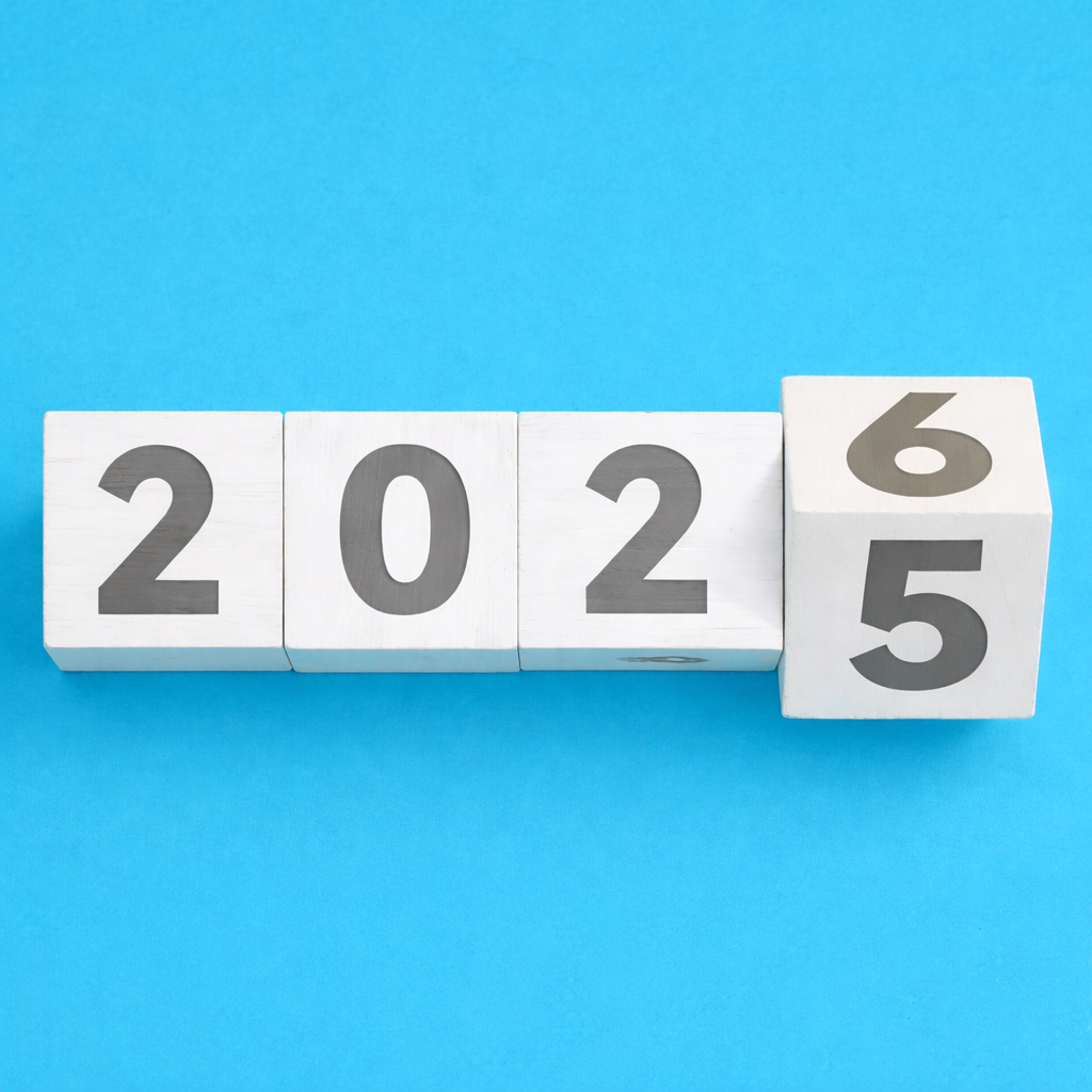 Dit wat het SEJN-jaar 2025 (mét vooruitblik naar 2026) - SEJN